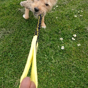 Paws Made Bunny Bungee Rabbit Fur Dog Tug High Reward Agility Flyball ...