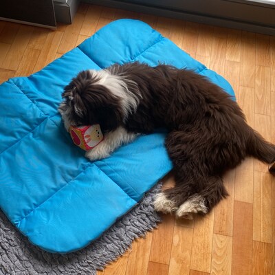 Travel Mat for a Dog, Outdoor Dog Mat, Roll up Dog Mat, Personalized ...