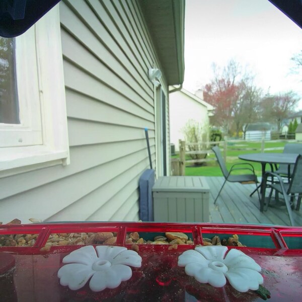 Bird Buddy Accessory Extender - Etsy