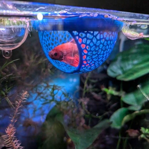 Floating Aquarium Hides / for Fish Tanks and Shrimps / Creating a Safe ...