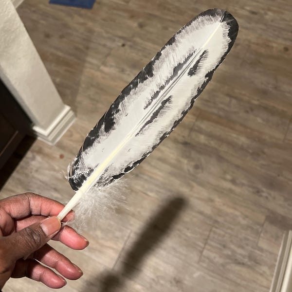 Native American Made Red Tailed Hawk Feather: Hand Painted - Etsy
