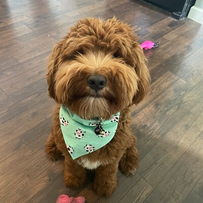 Adult Headband 2000s Style Headbands for Women Yoga - Etsy