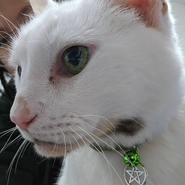 Witches Familiar Pentacle Cat Collar: Adjustable Pentacle Charm ...