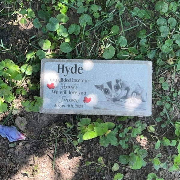 6x9 Memorial Stone. Dandelion Music Notes Remembrance Indoor or Outdoor ...