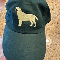 Alpha Omega Epsilon Sorority Baseball Cap Custom Color Hat - Etsy