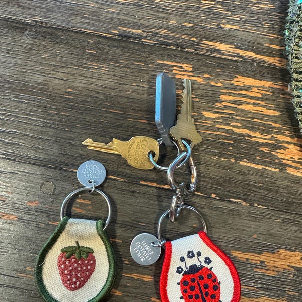 Patch Keychain - Ladybug - Etsy