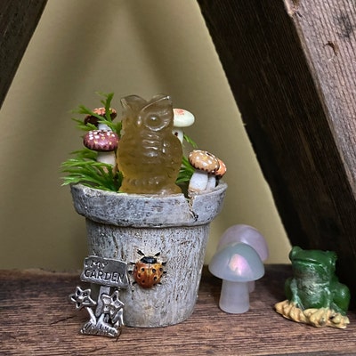 Miniature Hedges Your Color Choice - Etsy