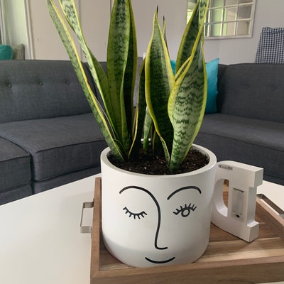 Face Decal for Flower Pot Vinyl Decal Flower Pot Sticker Gardening ...