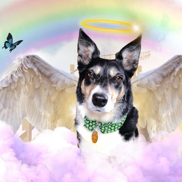 Custom Rainbow Bridge Pet Memorial Photo - Etsy