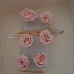 Mini Stabilized Rose on Peak, Bridal Hairstyle Peak, Natural Preserved ...