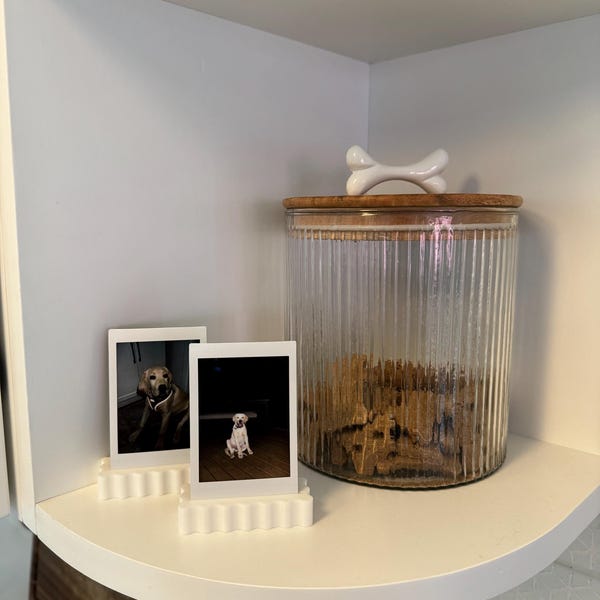 Instax Mini Polaroid Photo Stand Set of 3, Modern Fujifilm Instant Film ...