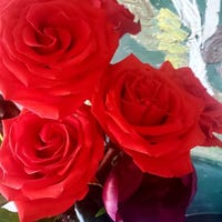 Fairies Warning Sign~beyond Here There Be Fairies Canvas~renaissance ...