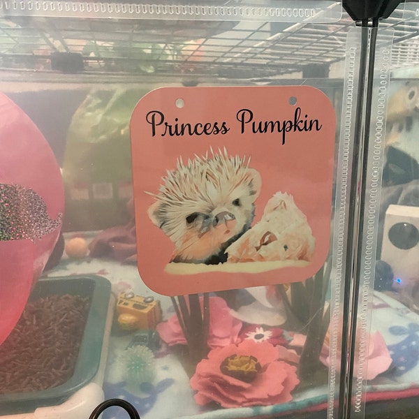 Guinea Pig Name Tag, Guinea Pig Accessories, Pet Tag, Guinea Pig ...