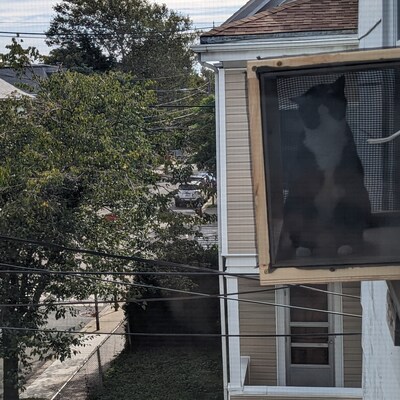 Catio DIY Digital Plan Window Box for Cats - Etsy