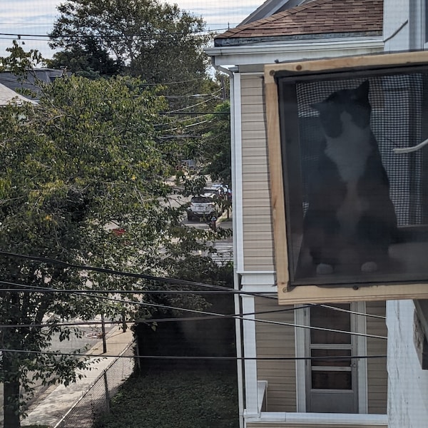 Catio DIY Digital Plan - Window Box for Cats - Etsy