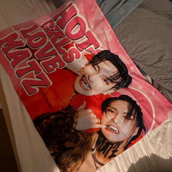 SKZ Felix Hot Girls Concert Banner, Stray Kids Members Kpop Flag, Skz ...