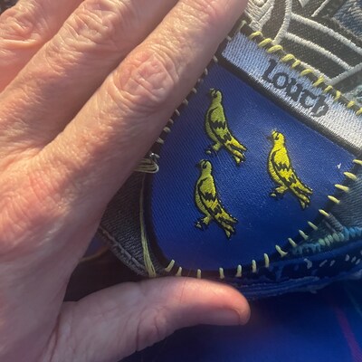 Northern Ireland Shamrock & Red Hand Patch Badge A154 - Etsy