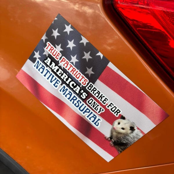 New Driver Pls Be Nice | Sad Hamster Car Bumper Sticker | Crying Funny ...