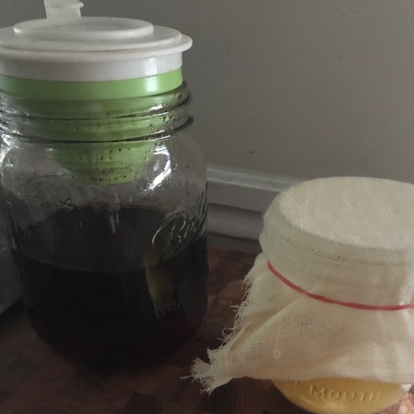 Milk Kefir Kit, Make Your Own - Etsy