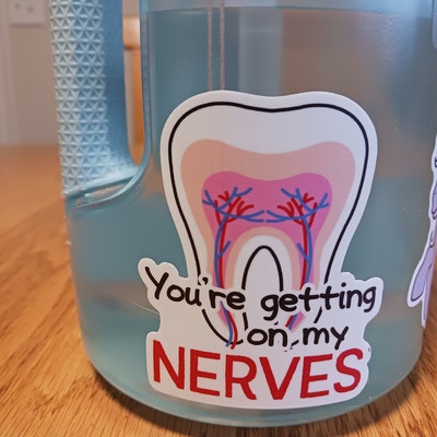 Dental Anatomy Dental Hygiene Sticker Big Mouths Dental - Etsy