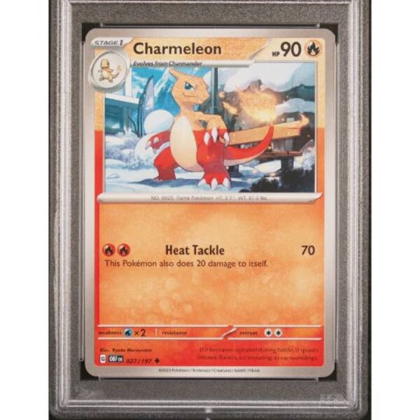 Charizard Base Set Extended Art Full Holo Custom Card - Etsy