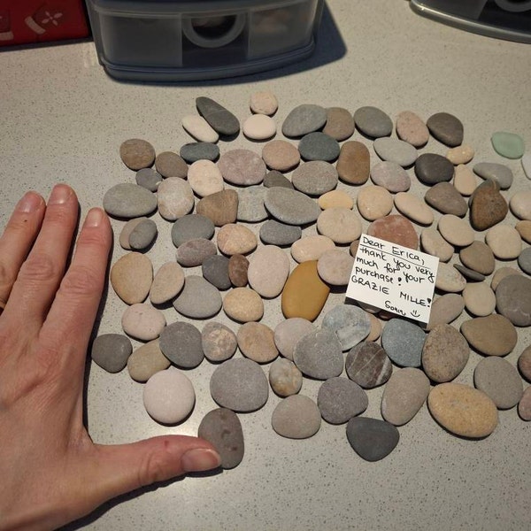 Bulk of 200/300 Tiny Pebbles, Flat & Colorful Genuine Beach Stones ...
