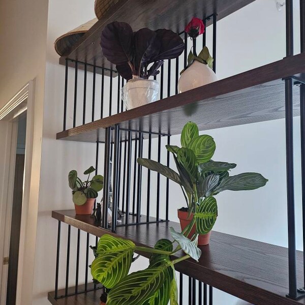 Large Neon Pothos Hanging House Plant Trailing Indoor Plant in 6 Pot - Etsy