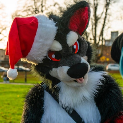 Fennec Fox Fursuit Partial, Fox Fursuit Head, Premade Fursuit - Etsy