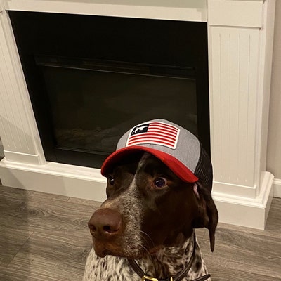 Red, White & Bird Dogs Hat German Shorthair Pointer Hat GSP Gift ...
