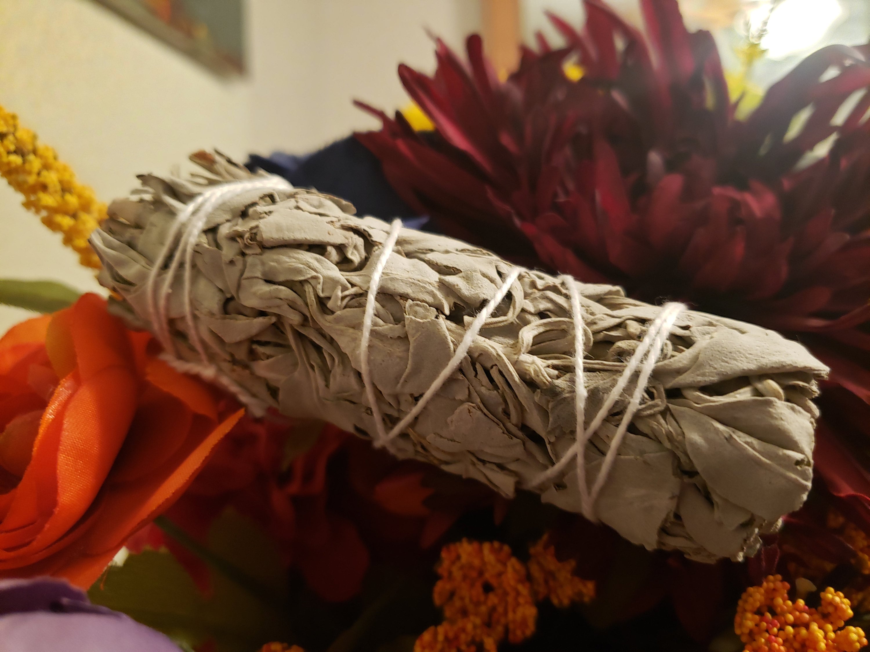 Organic White Sage Bundle - Sold Individually - Mini Size - Native ...
