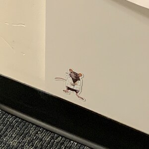 Lab Rat Vinyl Sticker 2 Inch - Etsy