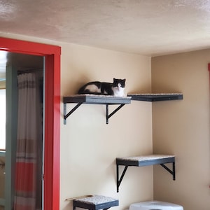 Set of 2 One Square and One Corner Cat Shelves with Carpet | Etsy