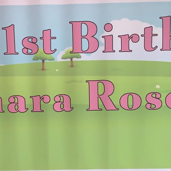 2 X Personalised Disney Frozen Elsa Birthday Banner Celebrate Boy or ...