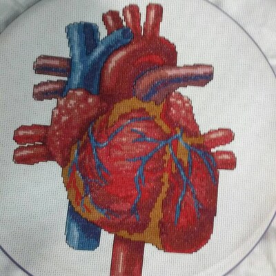 Human Heart X-stitch Anatomical Detailed Realistic Cross Stitch PDF ...