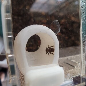 No Uwu Stop Sign Acrylic Pin | Etsy