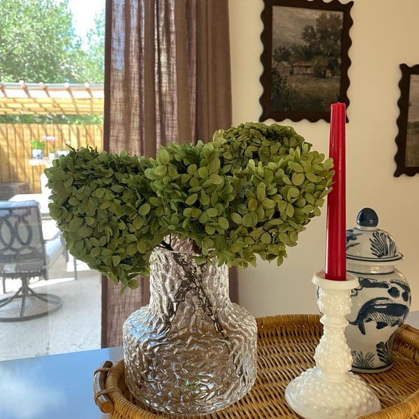 Limelight Hydrangea Basil Green, Preserved Hydrangea 3 Stem Bunch ...