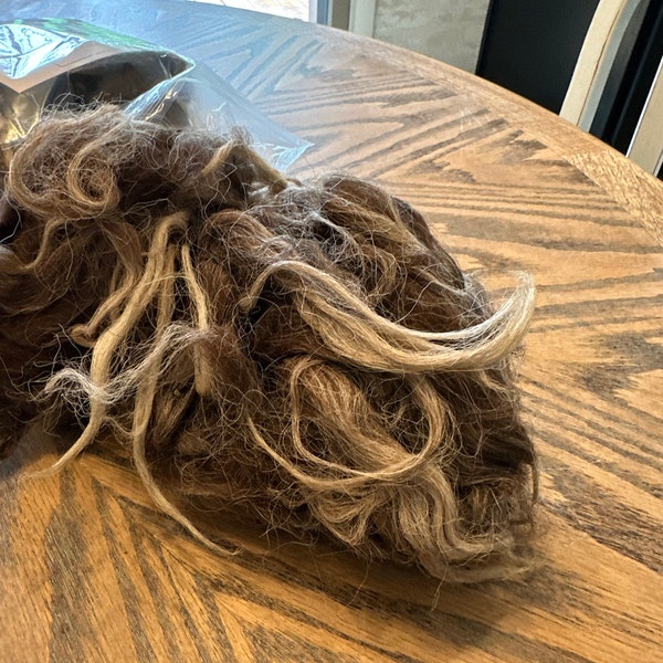 Raw Wool Lincoln Longwools Natural Colored - Etsy UK