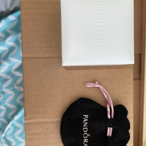 Pandora Gift Box Bag | Etsy UK