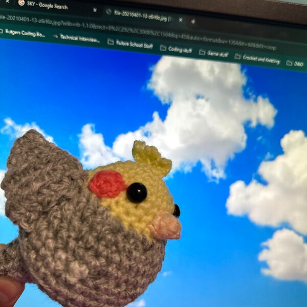 PATTERN/INSTRUCTIONS Cockatiel, Bird Pattern, Charlie the Cockatiel ...