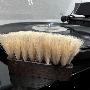 10 to 11 River Cooter Turtle Shell 1077-1011 10UB - Etsy