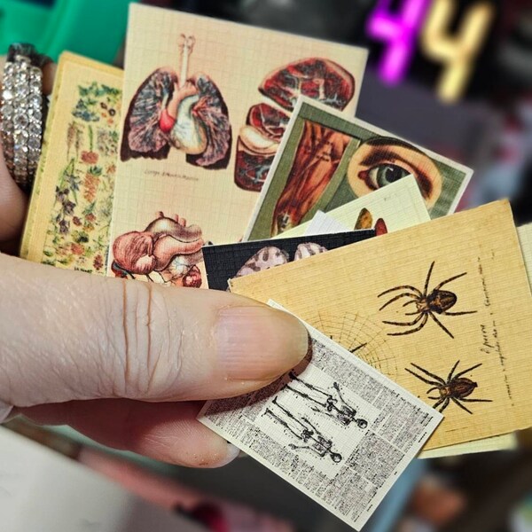 1:12 Evidence Packages & Boxes- Miniature Dollhouse True Crime Scene ...