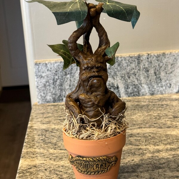 Tree Man Face - Etsy