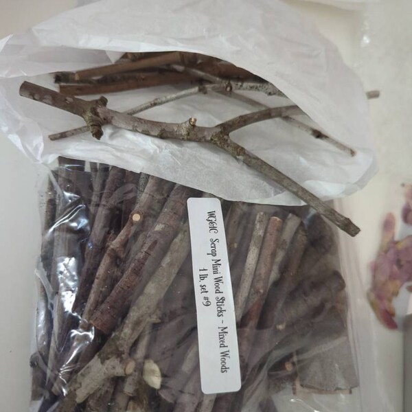 Dried Crepe Myrtle Seed Pods in Assorted Sizes, Natural Dried Mini ...