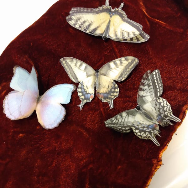 Extra Large Blue Morpho Silk Butterflies, Realistic Butterflies With ...