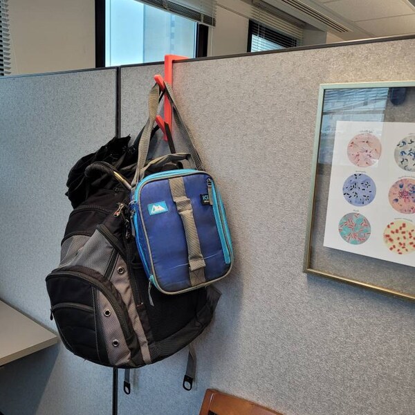 Dual Cubicle Hook, 3D Printed, Office Hook, Office & Desk Storage ...