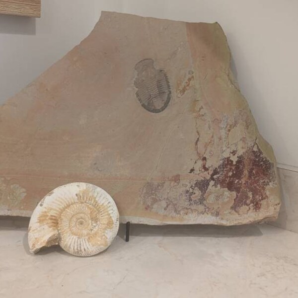 HUGE! COPPER Nugget or Native Copper Float 100% Natural Michigan 717gr ...