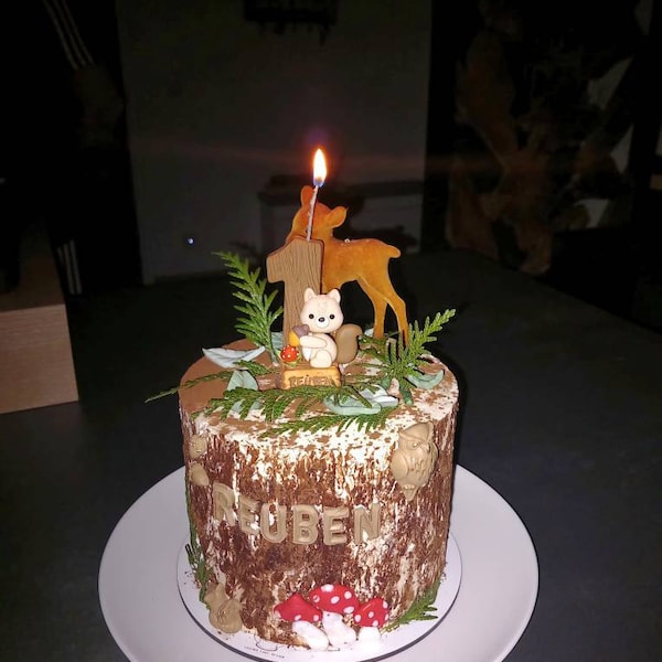 Mouse Safari | Jungle| Wild One | Two Wild Candle Cake Topper | Doesn't ...