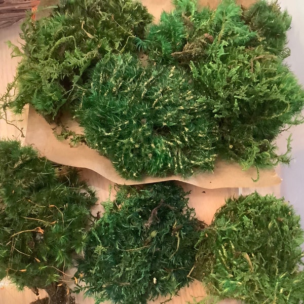 Preserved Cushion Moss for Styling – Real Greenery for Bowls, Tables ...