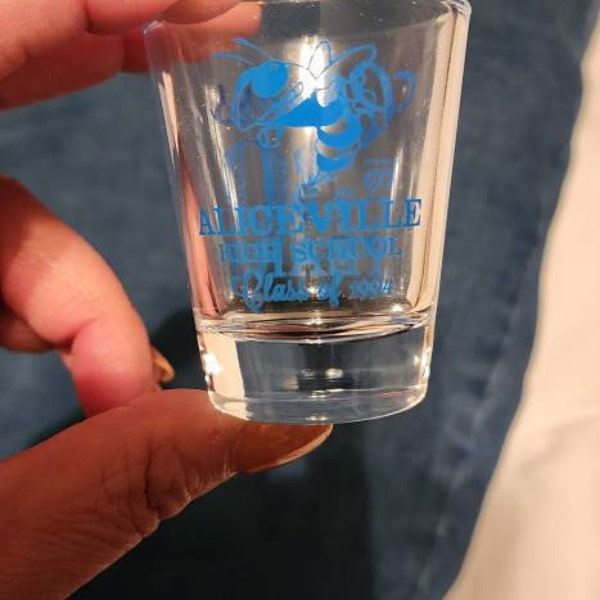 High School Reunion Shot Glasses, Class of 2016 Reunion, 10 Year ...