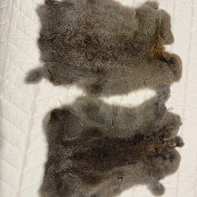1 Pcs Natural Color Rabbit Fur Pelts Craft Grade Assorted - Etsy